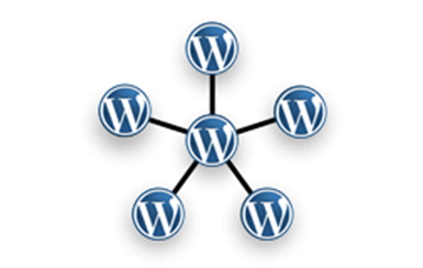 What is WordPress Multisite Mode? - Pagely®