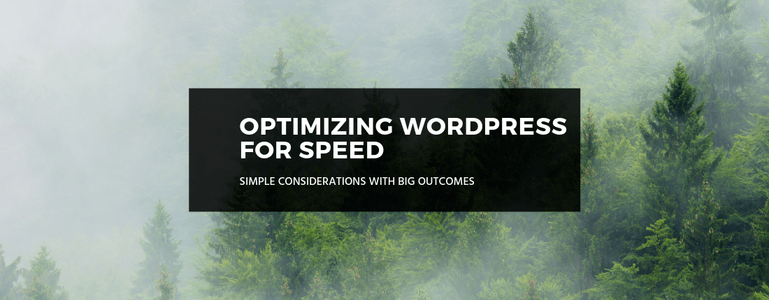 Optimizing WordPress for Speed - Pagely® Optimizing WordPress for Speed - Pagely®